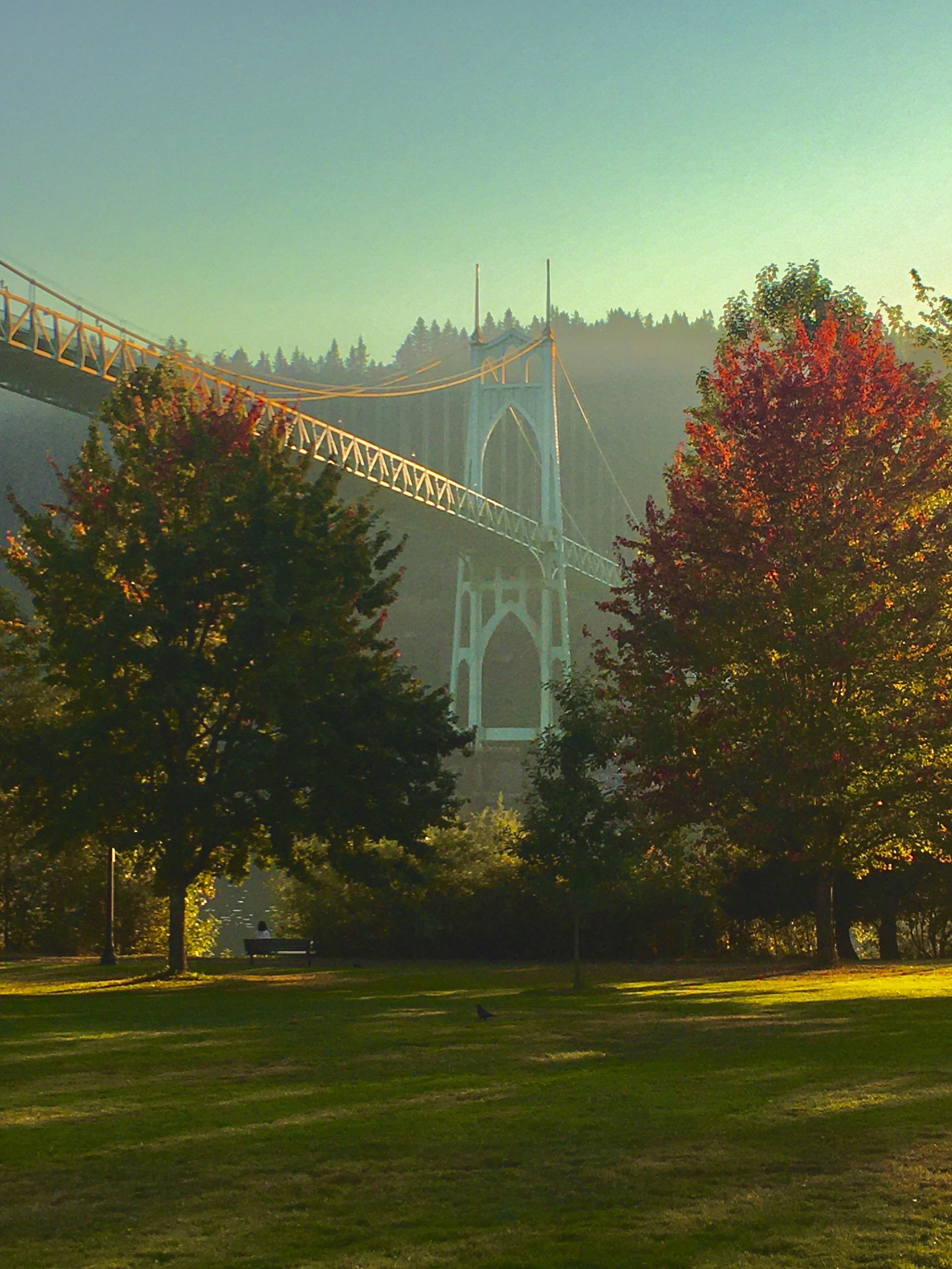 Home | Elevate with Evelyn